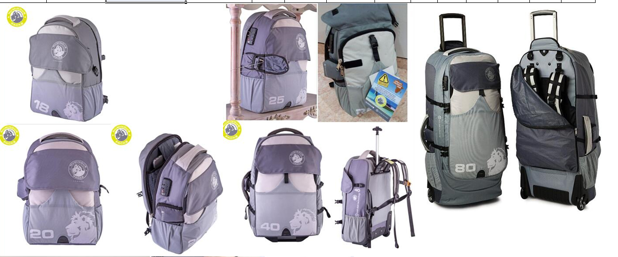 Numinous Travel Backpack - AA1613 - NUMINOUS (China Trading Company ...