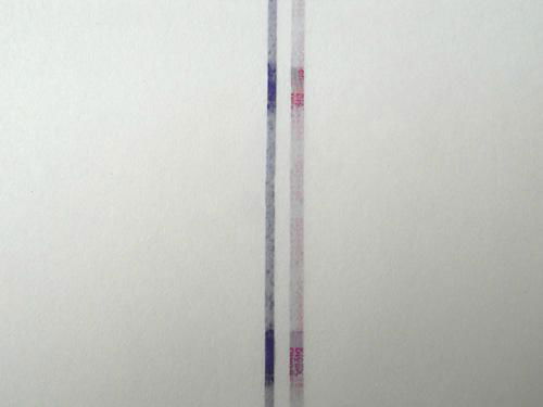 security paper with security thread and water mark - LD2228 - Lidun ...