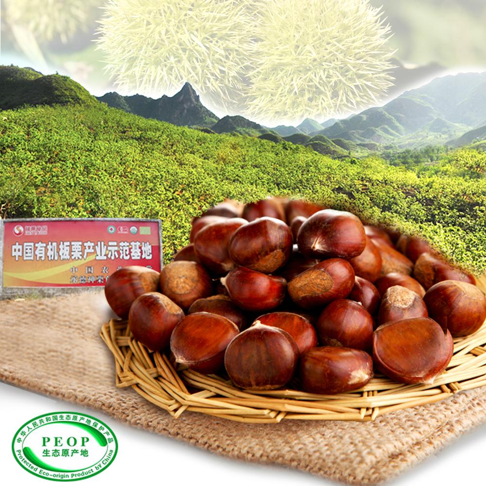 New Crop and best quality Hebei Kuancheng Fresh Chestnuts - 120-130,130 ...