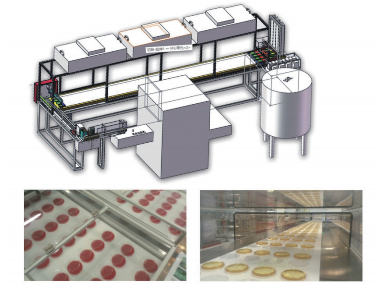 Flow Line of Culture Dish - MZ020 - Maizhi (China Manufacturer) - Other ...