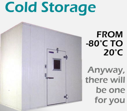 Fresh Fruit Farm Cold Storage Room - CSR-43 (China Trading Company ...