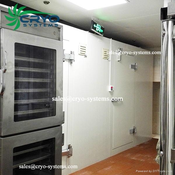 walk in deep freezer cold room cold storage cooler - many models - Cryo ...