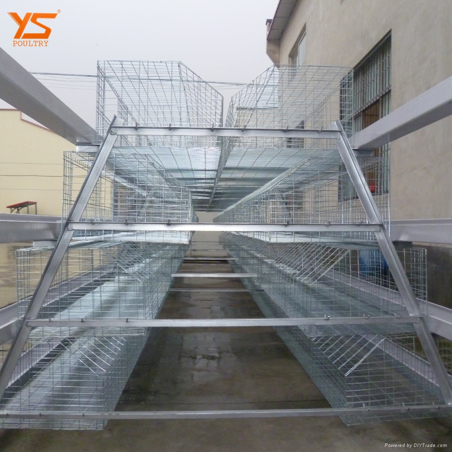 Advanced design chicken broiler cages for sale - YISHUN (China ...