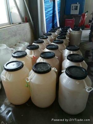 Nosema Locustae - Senton (China Trading Company) - Other Organic ...