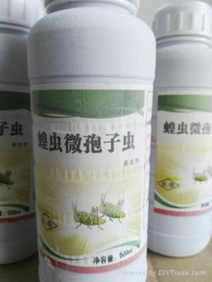 Nosema Locustae - Senton (China Trading Company) - Other Organic ...