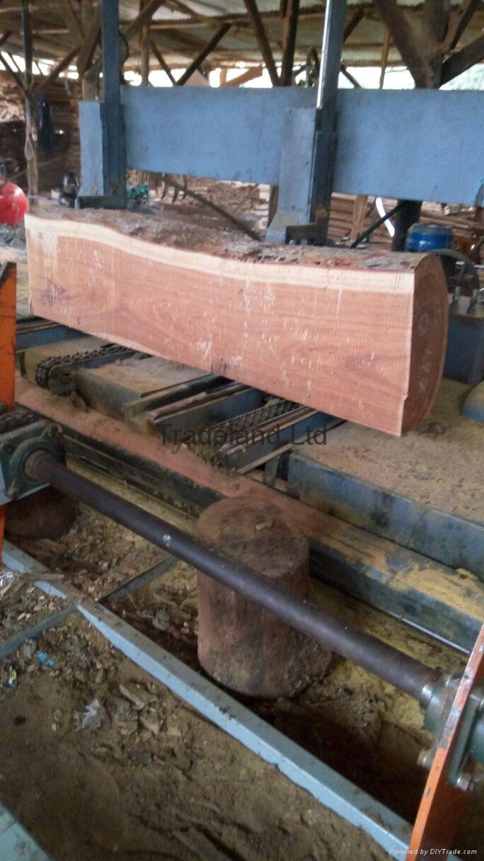 Mtondoro ; Brown Tali (brachystegia spiciformis) - sawn timber ...