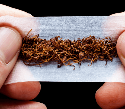 RYO Tobacco (India Manufacturer) - Cigarette Tobacco - Agricultural ...