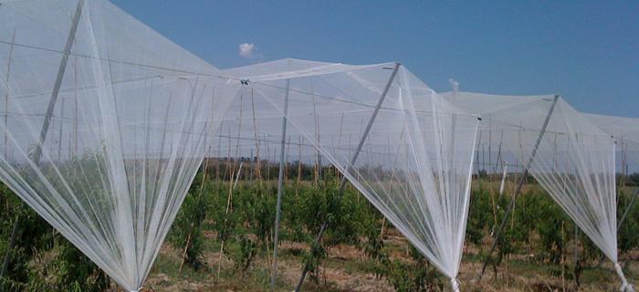 high quality anti hail net insect net - AINING (China Trading Company ...