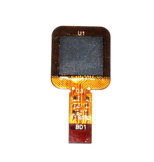USB Biometric Readers fingerprint module Scanner - U05 - OEM&ODM (China ...