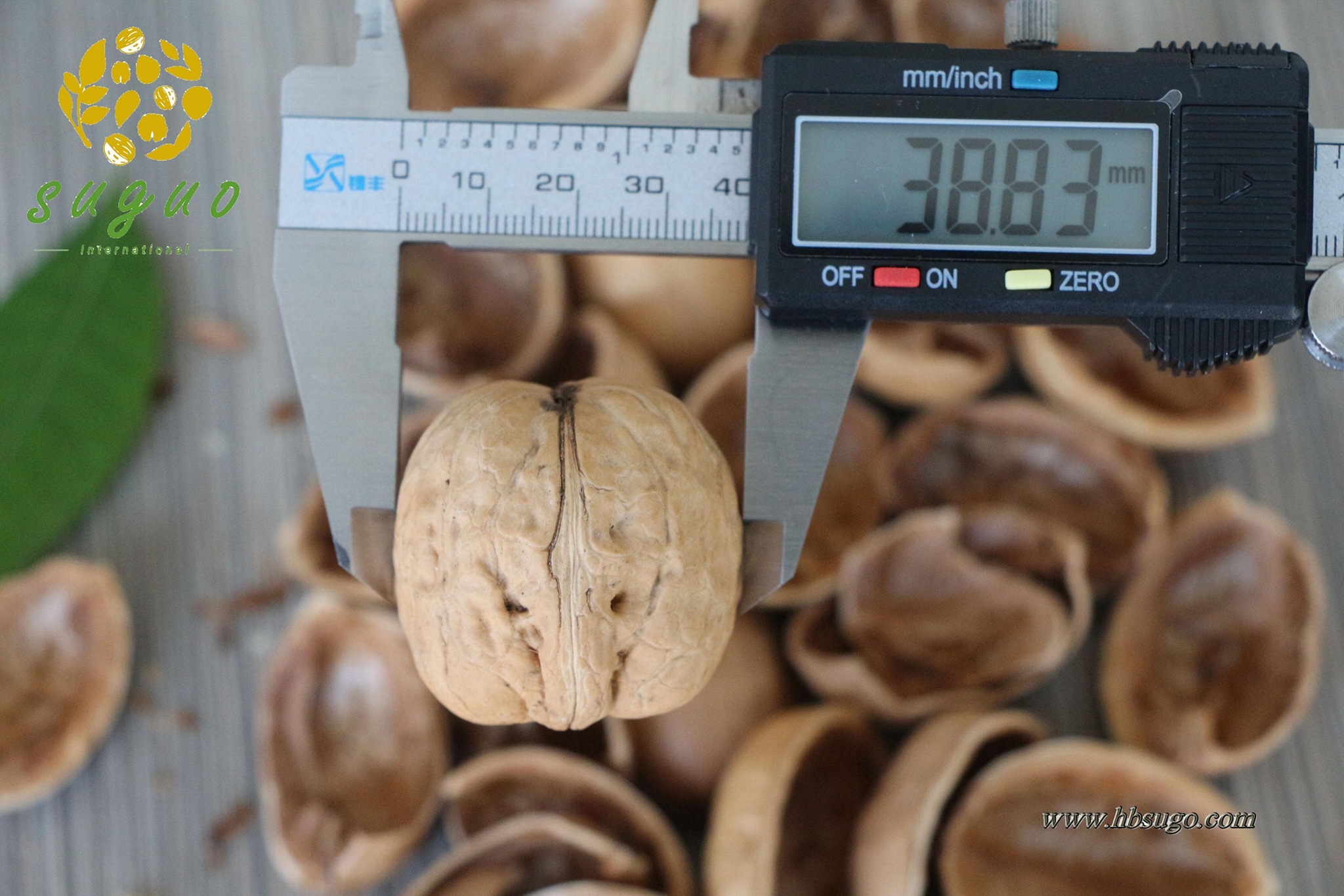 New Crop Northern Walnut Liaoxi for Sale - As your requirement (China ...