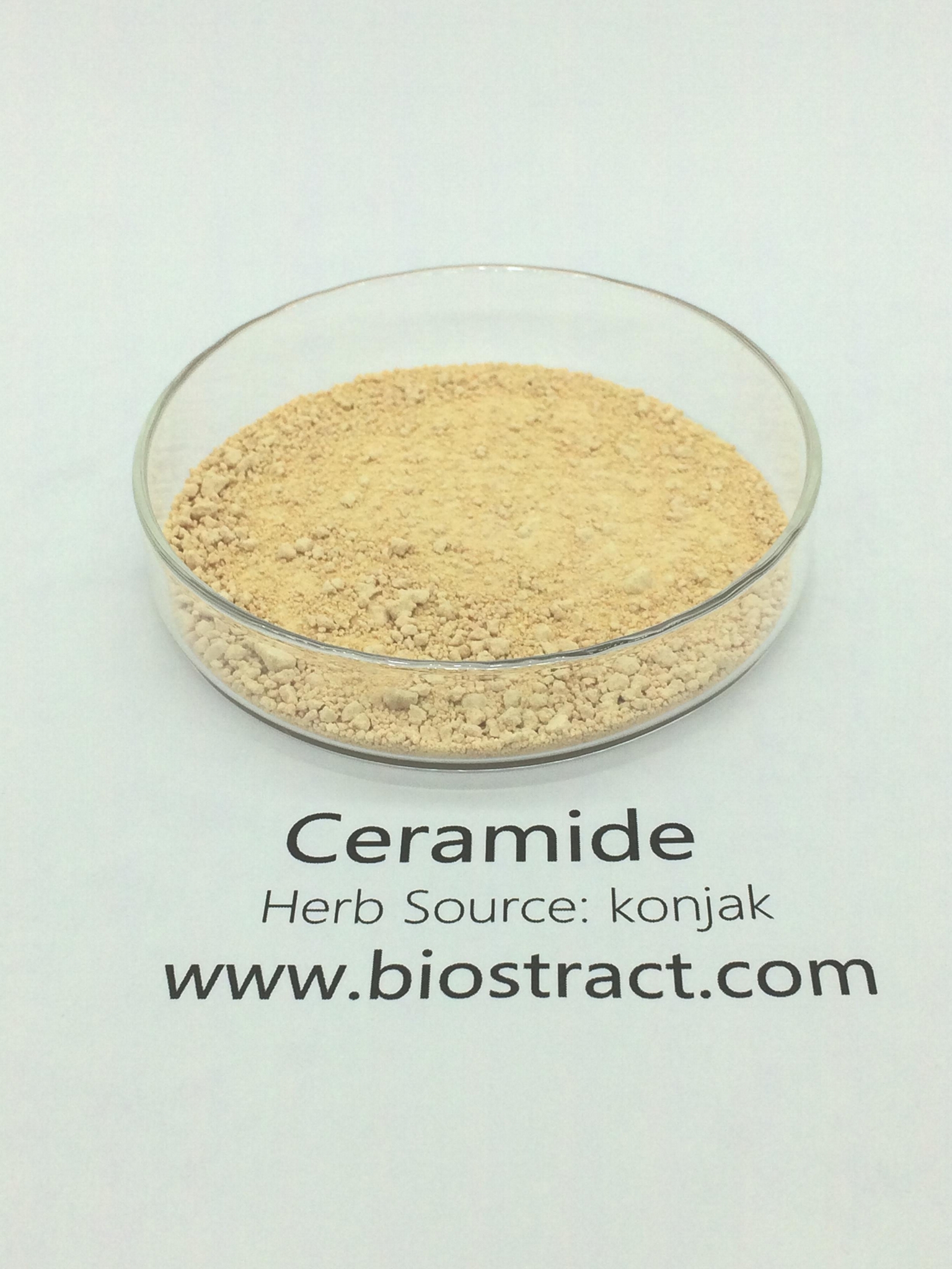 Ceramides - BIOSTRACT (China Manufacturer) - Plant Extract ...