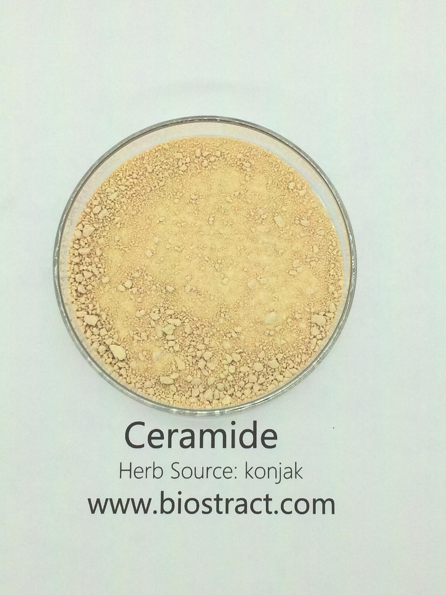 Ceramides - BIOSTRACT (China Manufacturer) - Plant Extract ...
