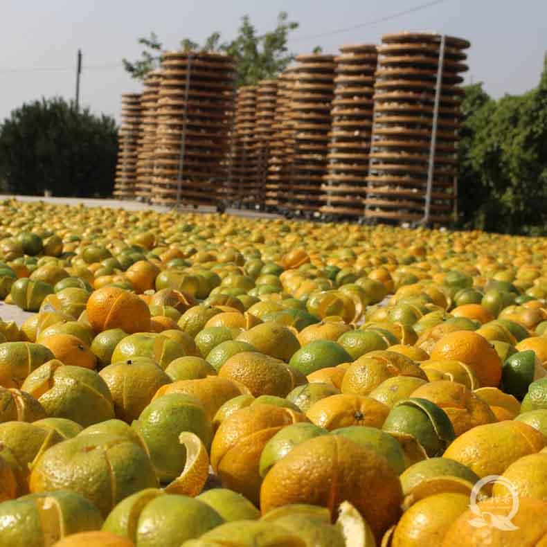 Chen Pi (Citri reticulatae Pericarpium) - HM - hemingtea (China ...