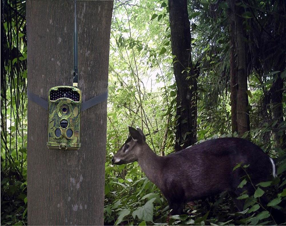 Latest 4G 12MP 940nm No Glow MMS Email FTP SMS Hunting Scouting Camera ...