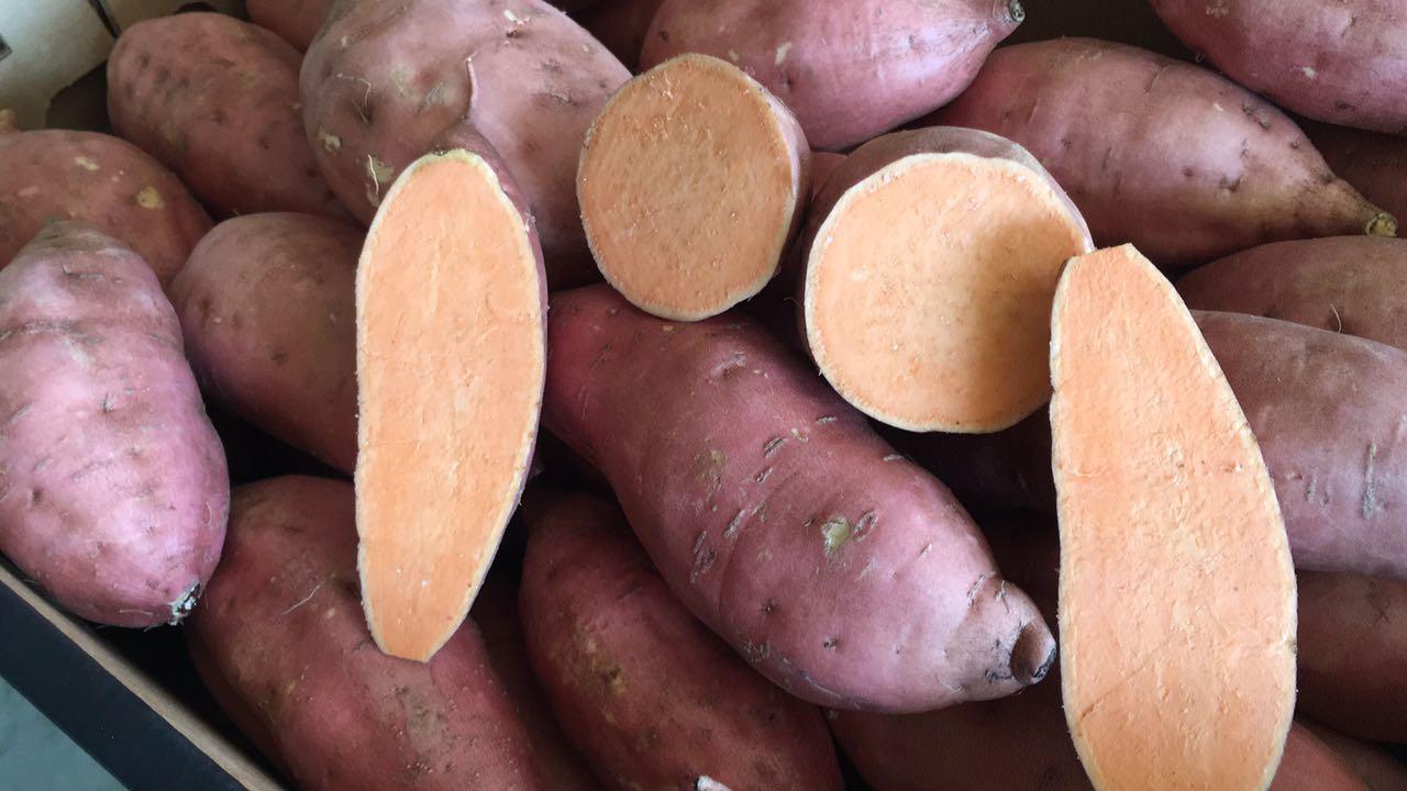 Sweet potato (Egypt Trading Company) - Fresh Vegetables - Agricultural ...