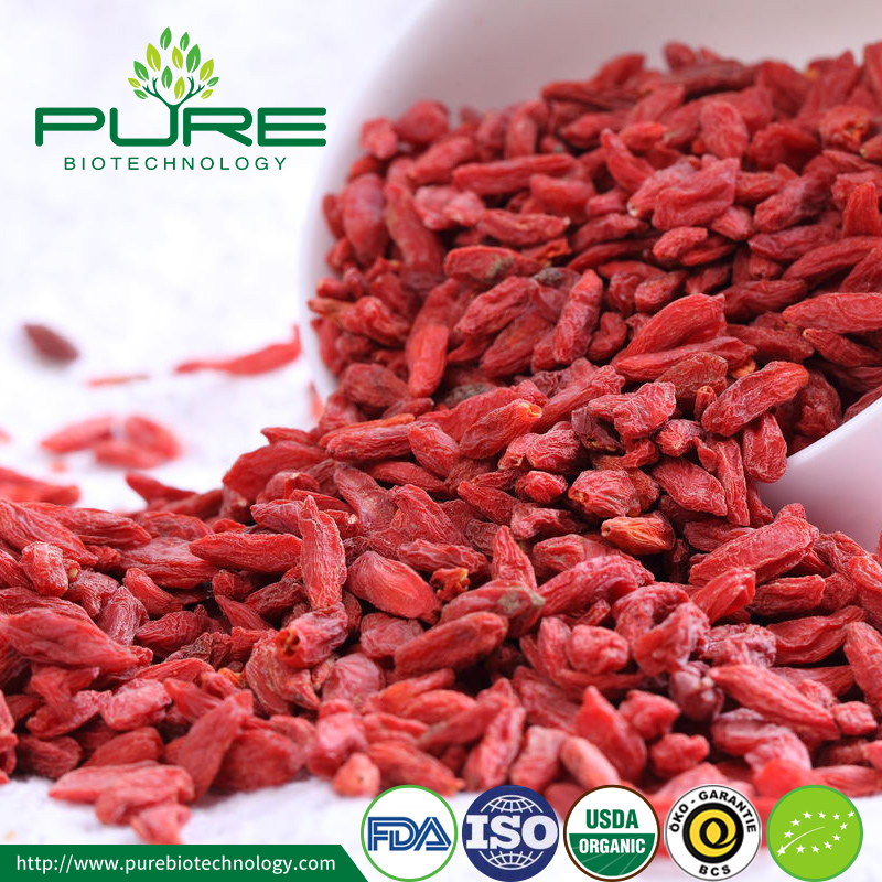 Organic Goji berry - 180,280,380 - Pure Goji (China Manufacturer ...