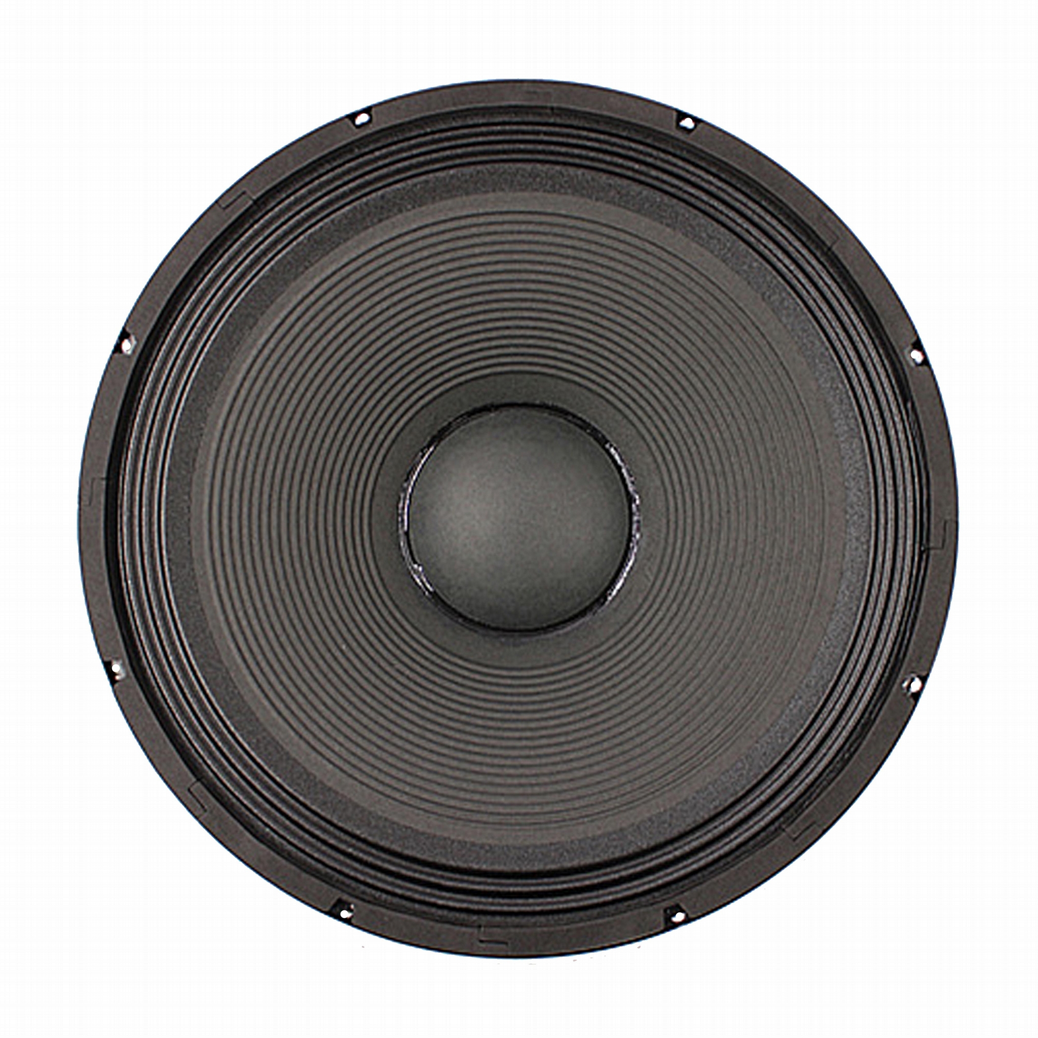 woofer - RH155 - DERWEL (China Manufacturer) - Speaker,Trumpet & Buzzer ...