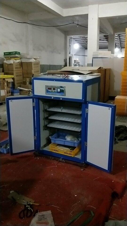 chincken duck pigeon solar hatching machine - BZ-176 - HONGZHOU (China ...