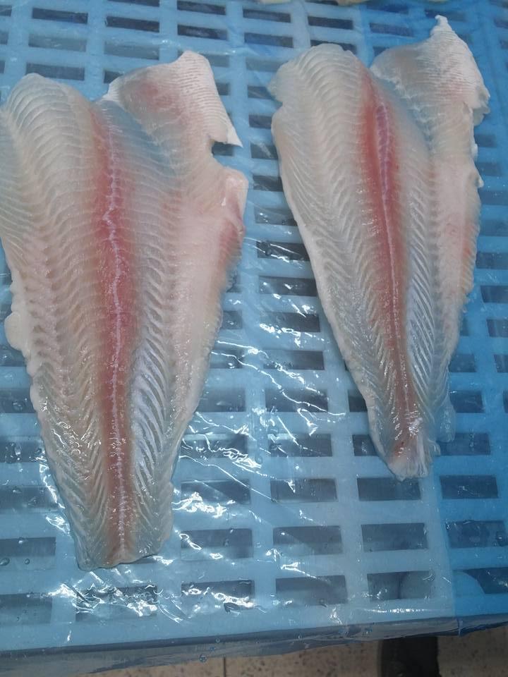 well trimmed frozen pangasius fillets - 021544 - Andoh Seafoods ...