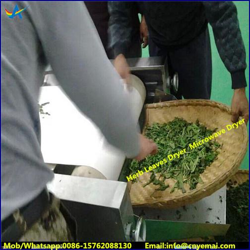 Green Tea Dryer Tea Processing Machine - YM-30 - YM (China Manufacturer ...