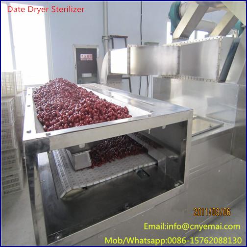 Tunnel Date Drying Sterilization Machine Microwave Dryer Sterilizer ...