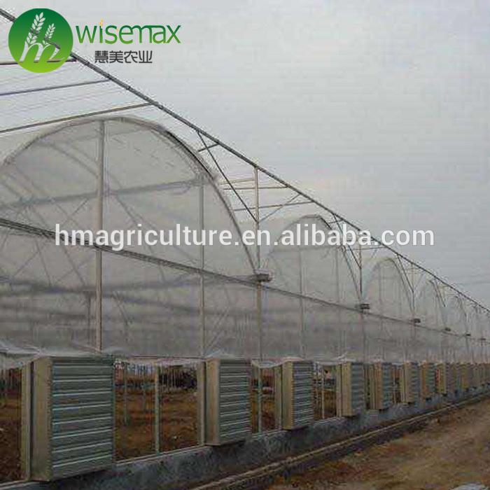 High light transmission plastic multi span arch pipes greenhouse for ...