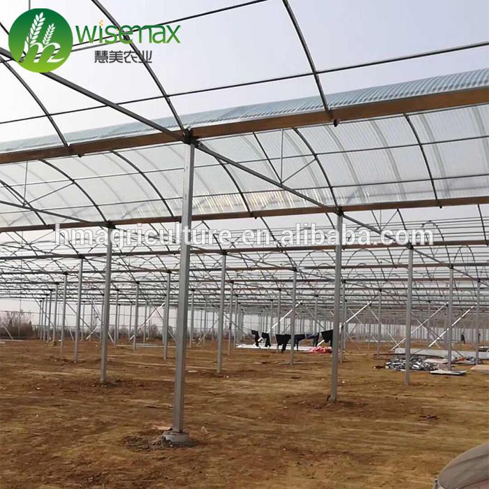 High light transmission plastic multi span arch pipes greenhouse for ...