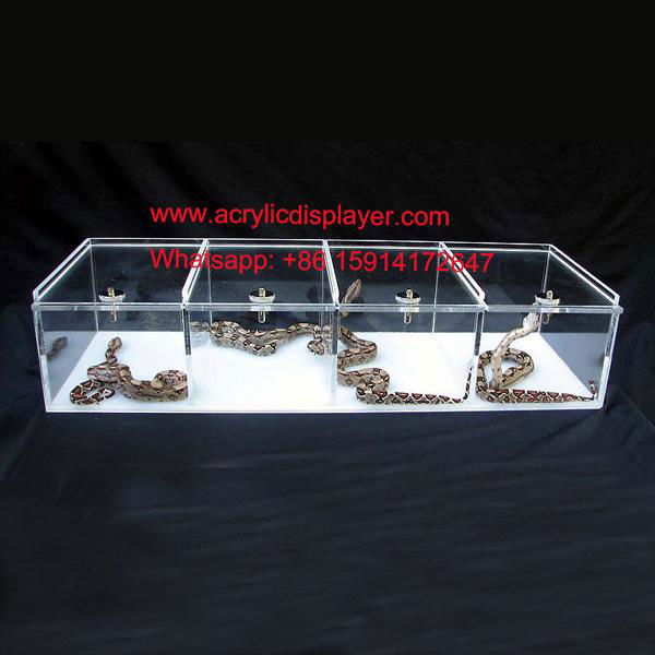 Acrylic Reptile Display Box - 008 - Bestar (China Manufacturer) - Arts ...