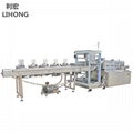 Horizontal Automatic Four-side Sealing & Packing Machine - GSB-220 ...