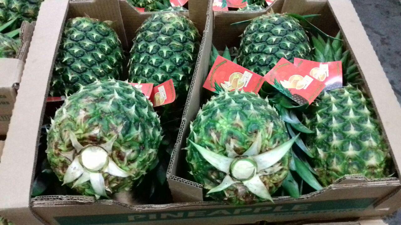 pineapple extra sweet (=MD2) - Ananas comusus - GUANTESDEOROSA (Costa ...