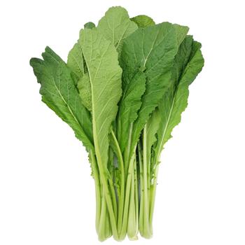 Fresh big green choi sum supply all year round (China Manufacturer ...