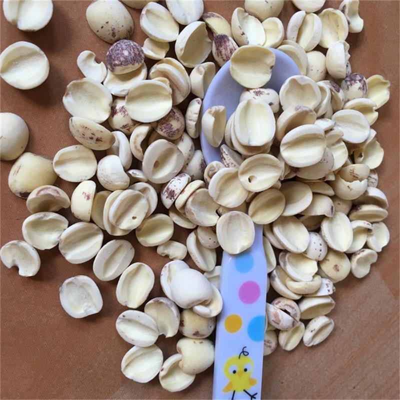 Half Lotus Seed Nut Kernel Lotus Extract Paste - LS01008 - Best Lotus ...