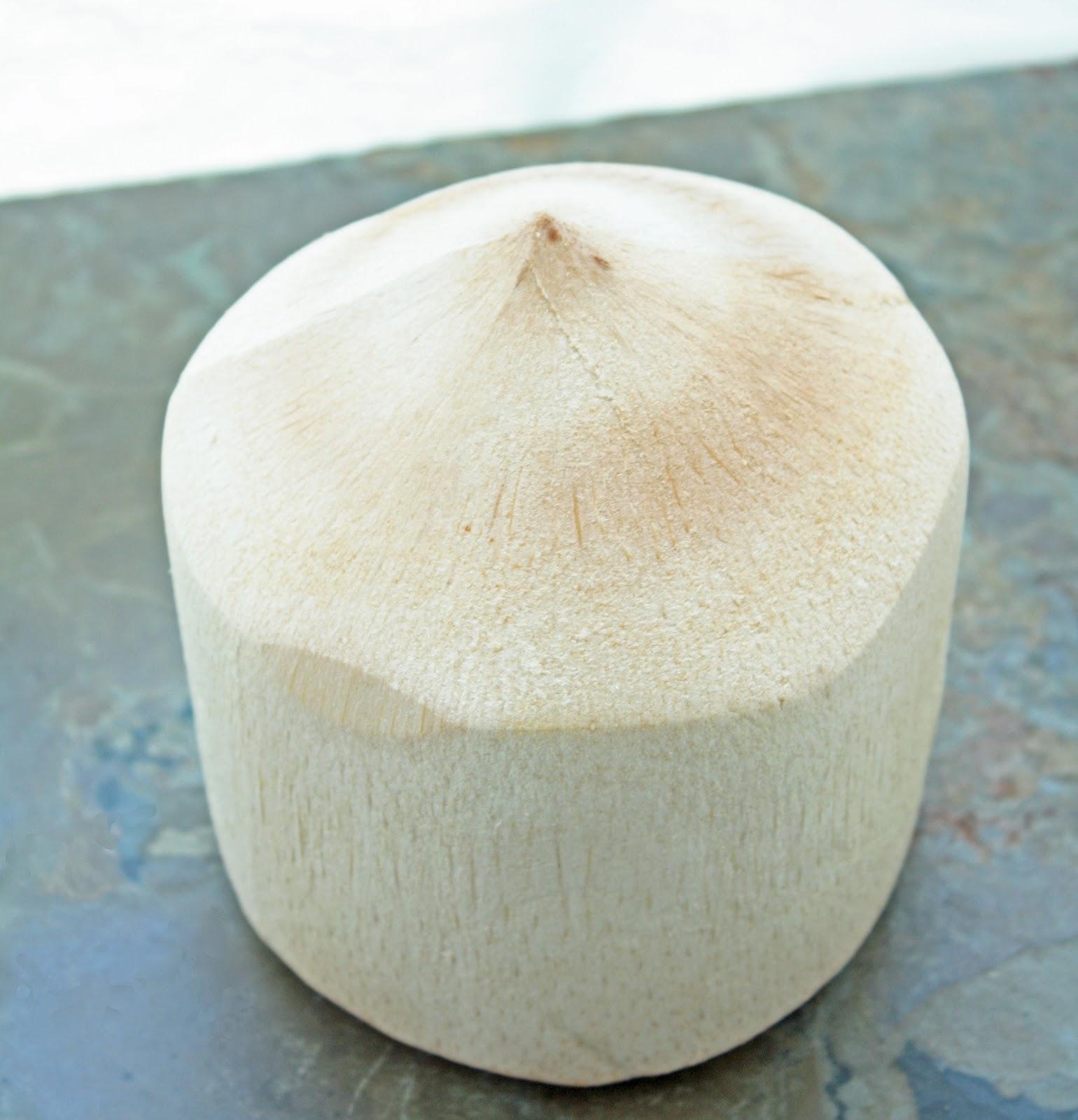 Fresh Young Coconut - (84)2835119589 - Fresh Coconut (Vietnam ...