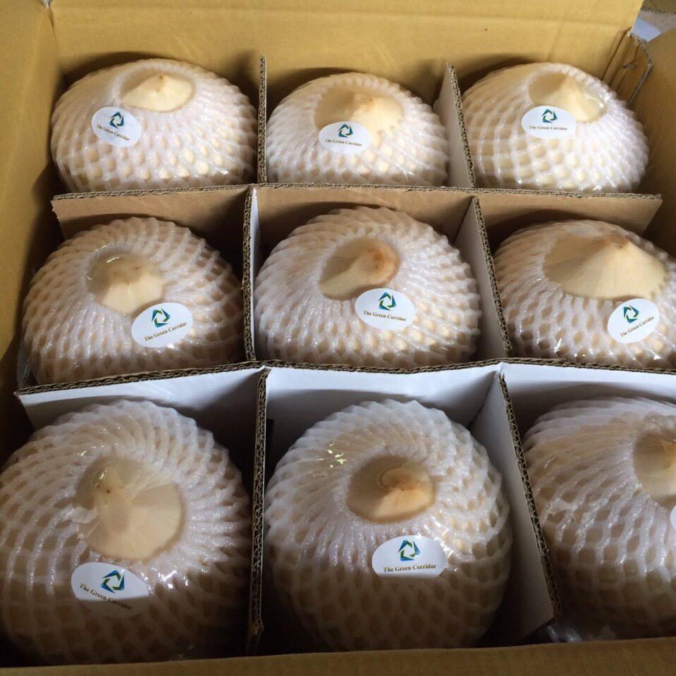 Fresh Young Coconut - (84)2835119589 - Fresh Coconut (Vietnam ...