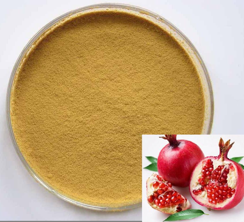 High quality Tomato Extract Tomato PE lycopene - Lyphar (China Trading ...