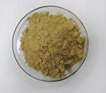 Top Quality Apple Root Extract Phlorizin - Lyphar (China Manufacturer ...