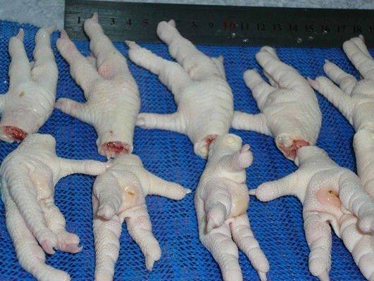 Quality Processed Frozen Chicken Paw (Brazil Manufacturer) - Meat ...