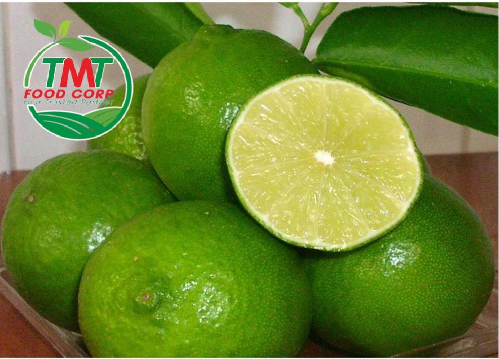 FRESH SEEDLESS LIME FROM VIETNAM - TMT FOODS (Vietnam Trading Company ...