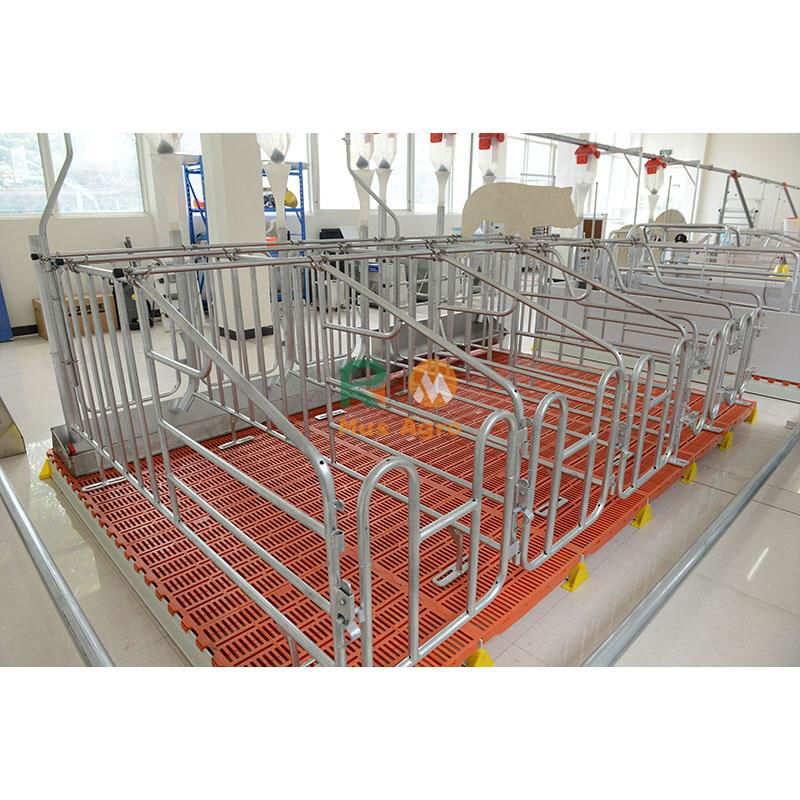 New product pig farming piggery equipment floor - MA-5 - Mus Agro ...
