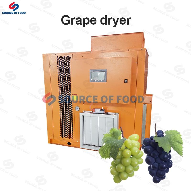 Grape Dryer - Lantian machine (China Manufacturer) - Drying Machine - Machinery Products ...