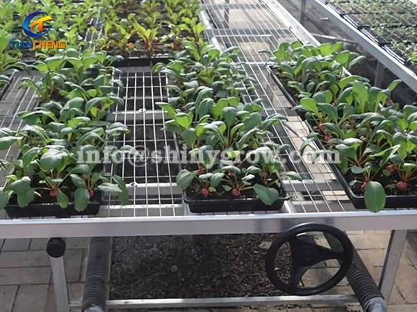 Welded Wire Mesh Bench Top & Expanded Metal Bench Top (China ...