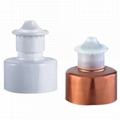 Plastic Water Bottle Caps Push Pull Lid Caps (China Manufacturer ...