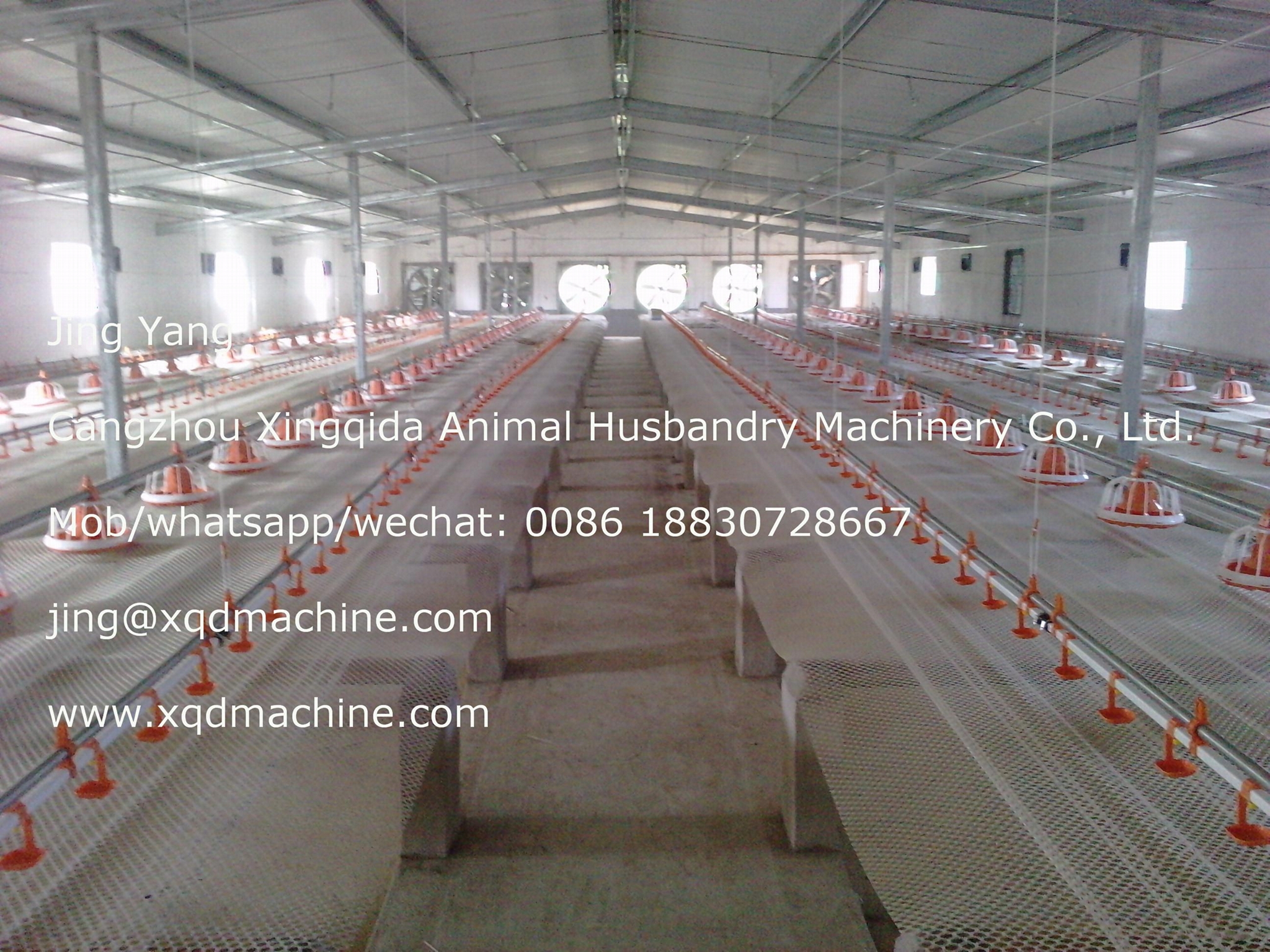 Automatic Poultry Broiler Pan Feed System for ground floor feeding farm ...