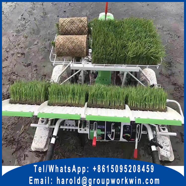 rice transplanter machine price - zhiyanzyh (China Trading Company ...