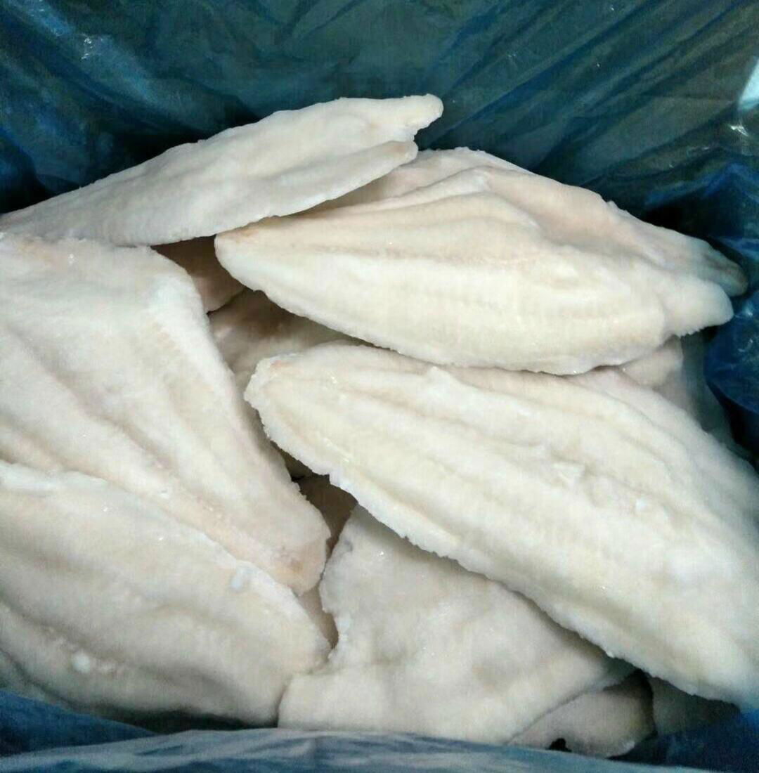 Frozen channel catfish fillets - Ictalurus Punctatus (China ...