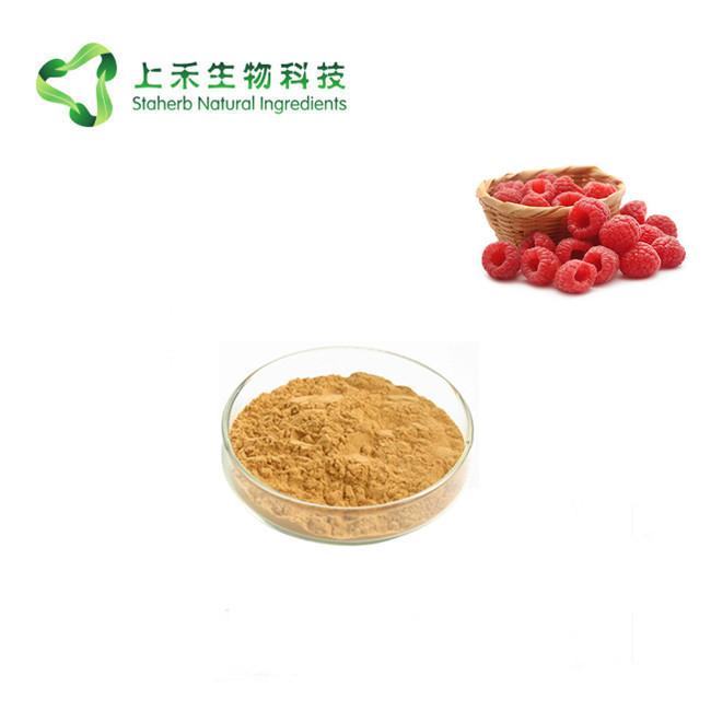 raspberry extract powder raspberry ketone - STA-91 - STAHERB (China ...