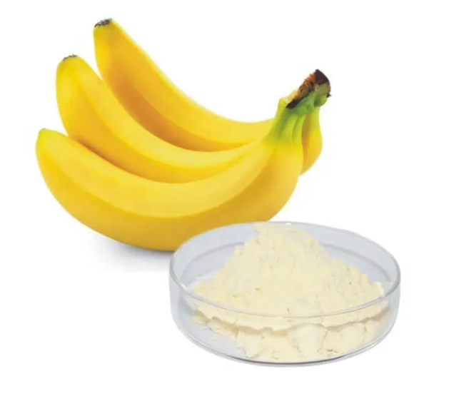 Banana Extract Banana powder - Changsha Staherb (China Manufacturer ...