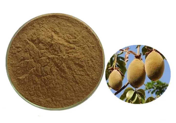 Baobab Fruit Extract - Changsha Staherb (China Manufacturer) - Plant ...
