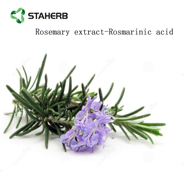 Rosemary Extract powder Carnosic acid powder - 139236-75-2 - Changsha ...