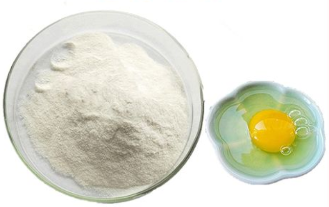 Ovalbumin peptide - Changsha Staherb (China Manufacturer ...